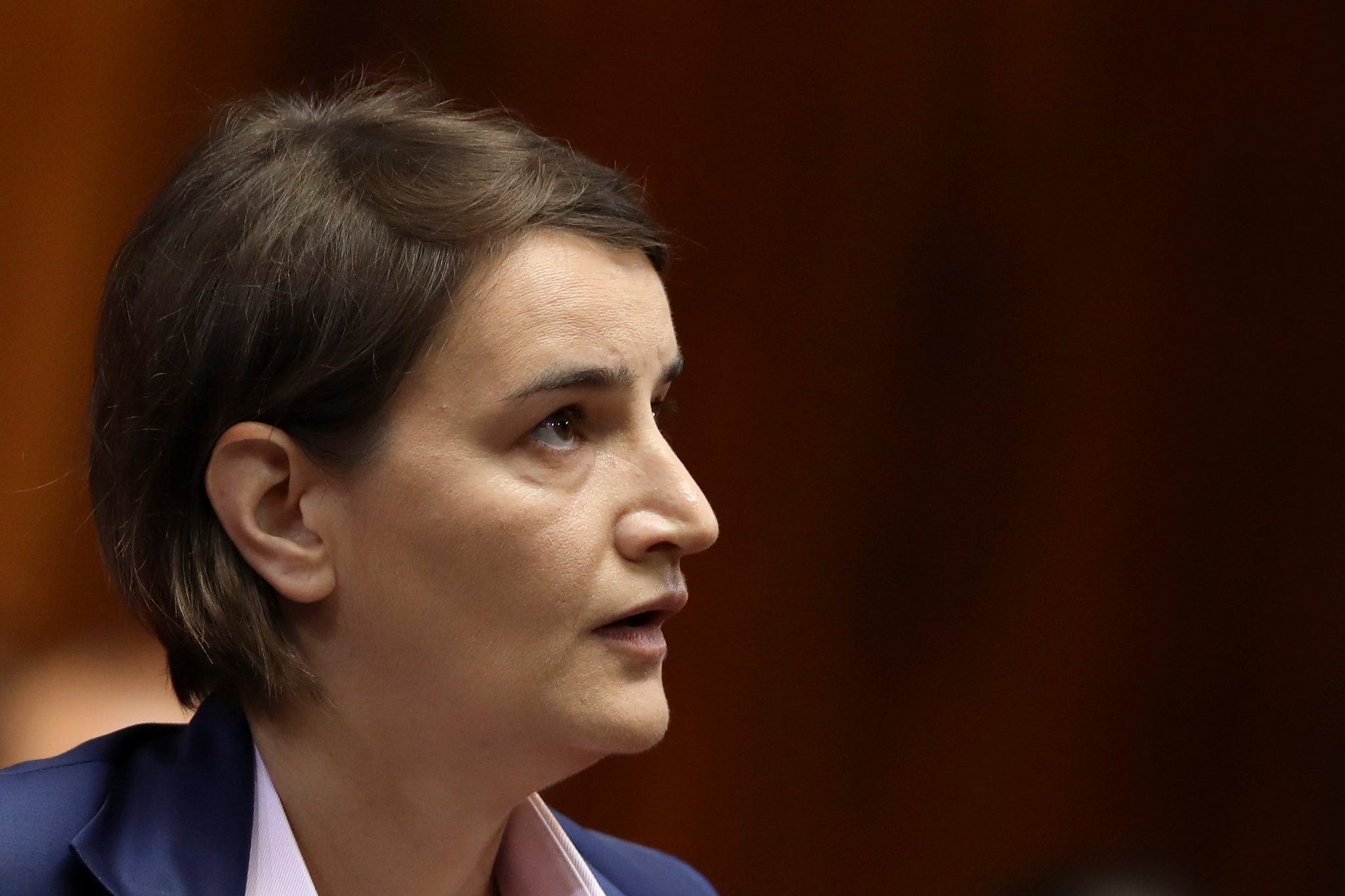 Brnabić: Moj djed je bio Hrvat. Zamislite da u Hrvatskoj predsjednik ...