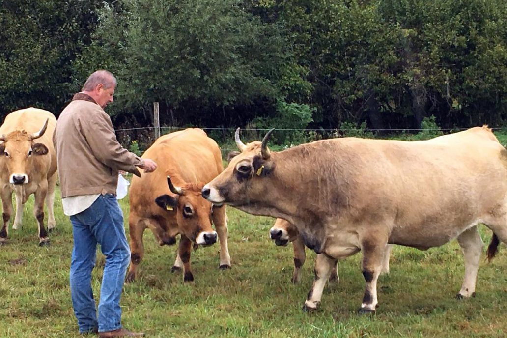 LIČKO POLJE Jedan od lidera u ekološkom uzgoju goveda dokaz je da ...