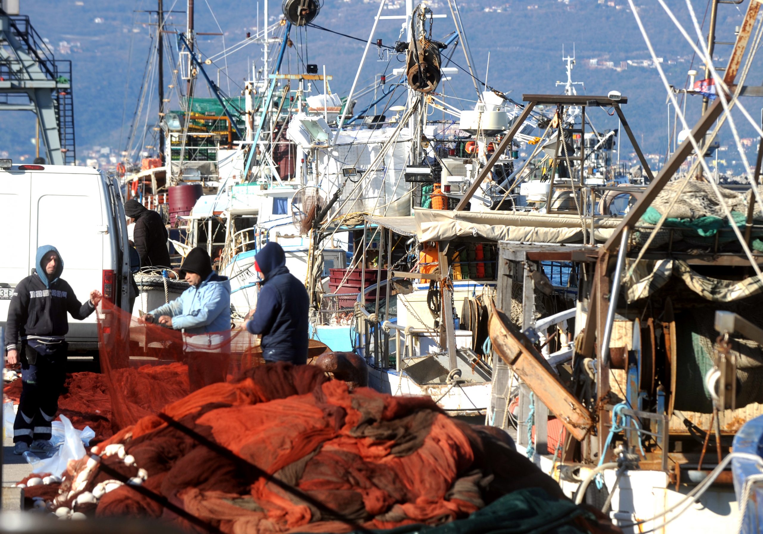 Nova pravila: Kupac će znati baš sve o svakoj tuni i iglunu iz Jadrana ...