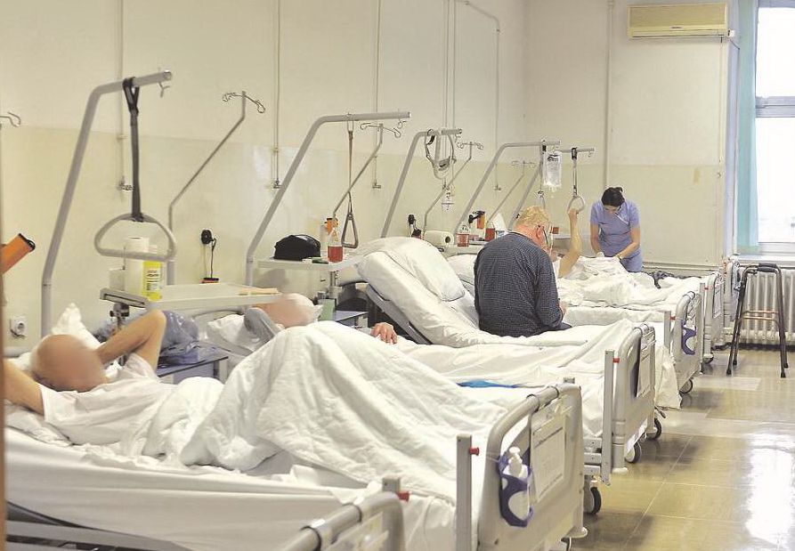 PETORO SE BORI ZA ŽIVOT: Otkad je stigao "Zapadni Nil", znamo da ubod ...