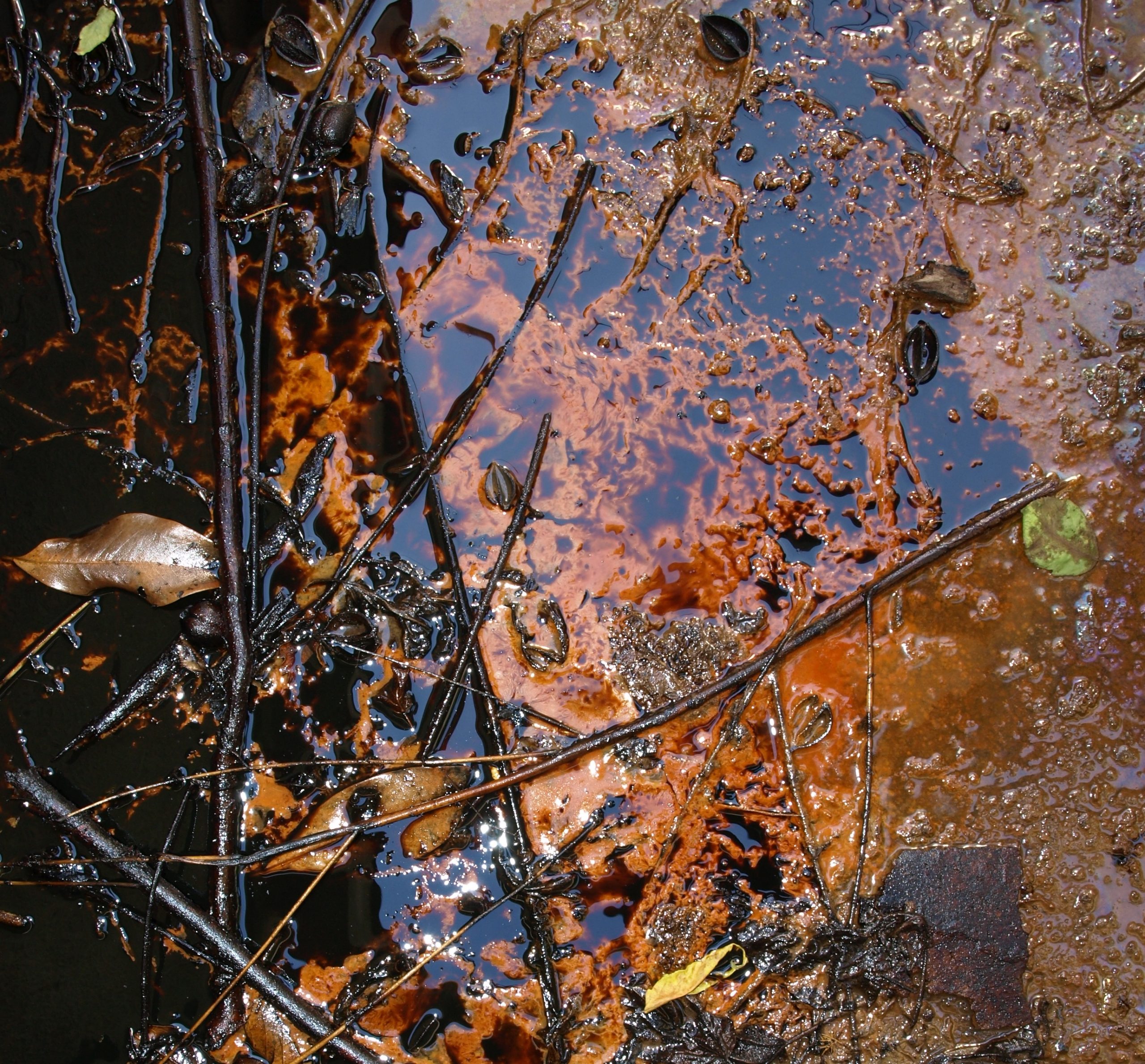 U Principiju se otvara prva samostalna izložba fotografija Velida ...