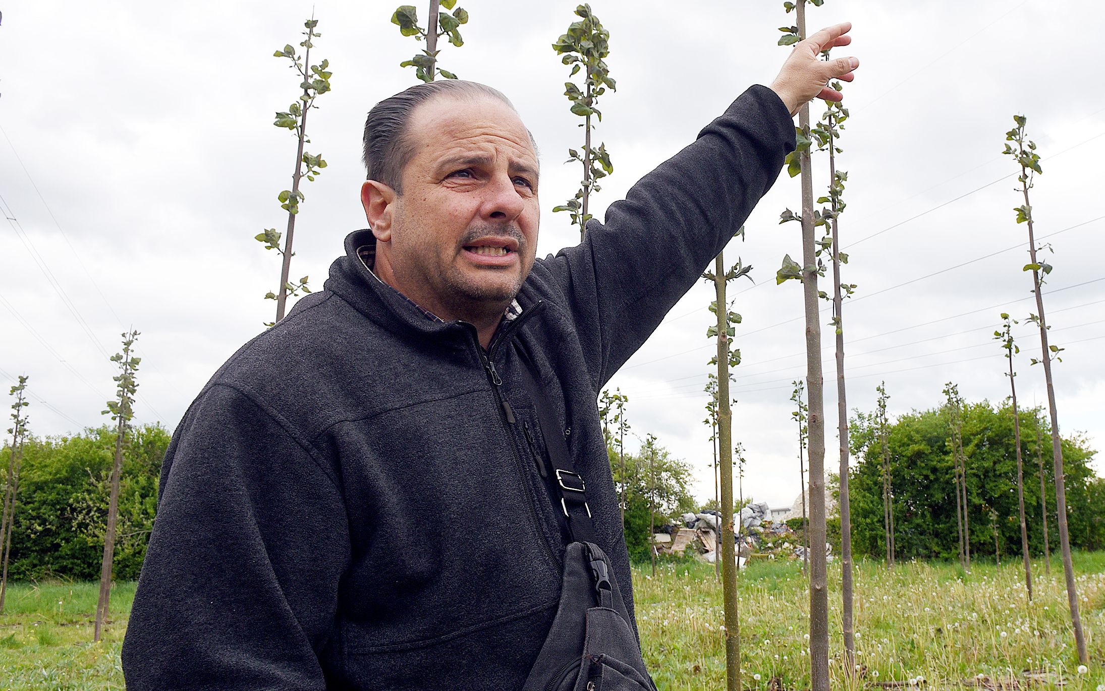 ČUDO IZ KINE Kako sam počeo saditi najbrže rastuće drvo na svijetu ...