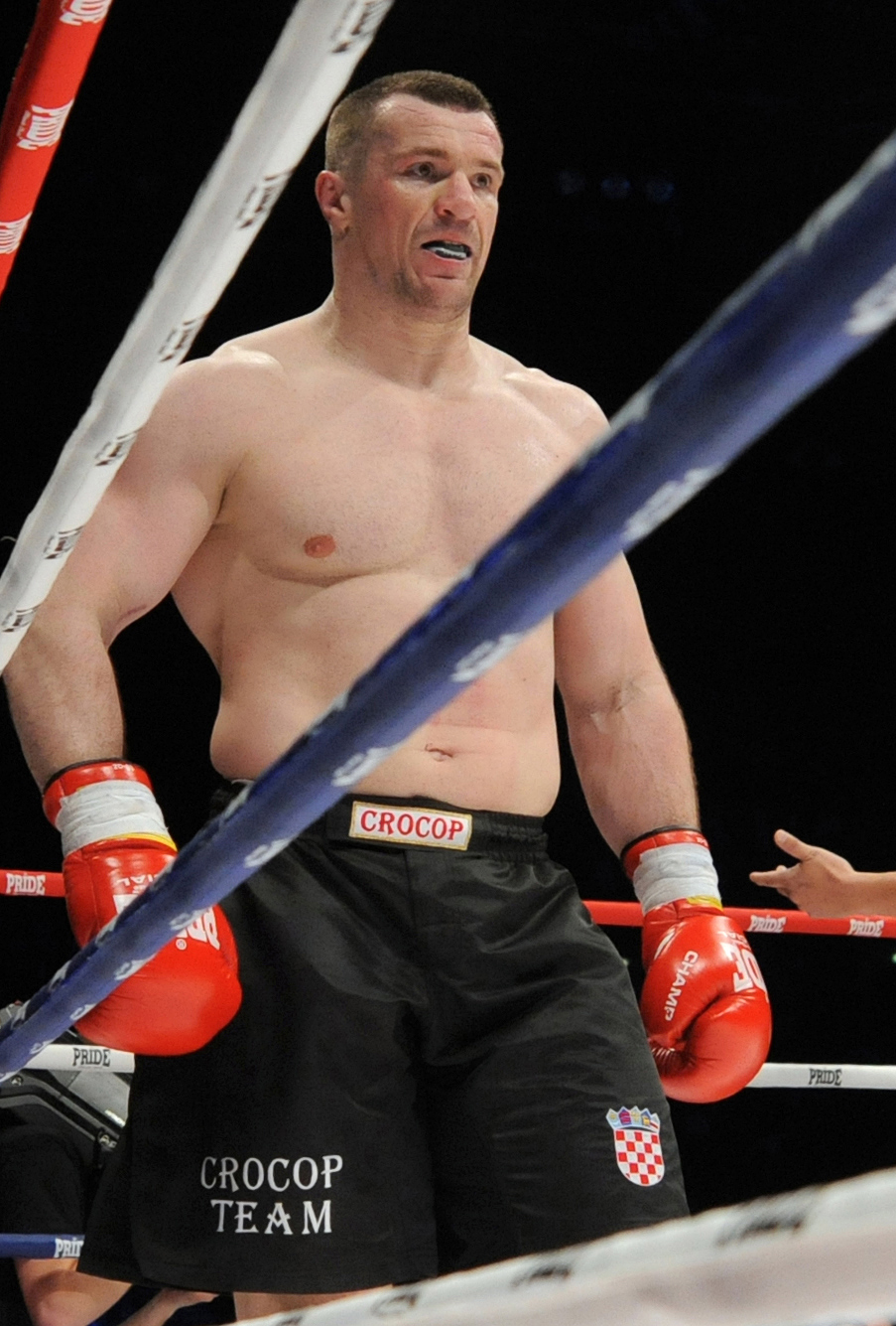 Hrvatska legenda borilačkih vještina Mirko Filipović osvojio Grand Prix ...