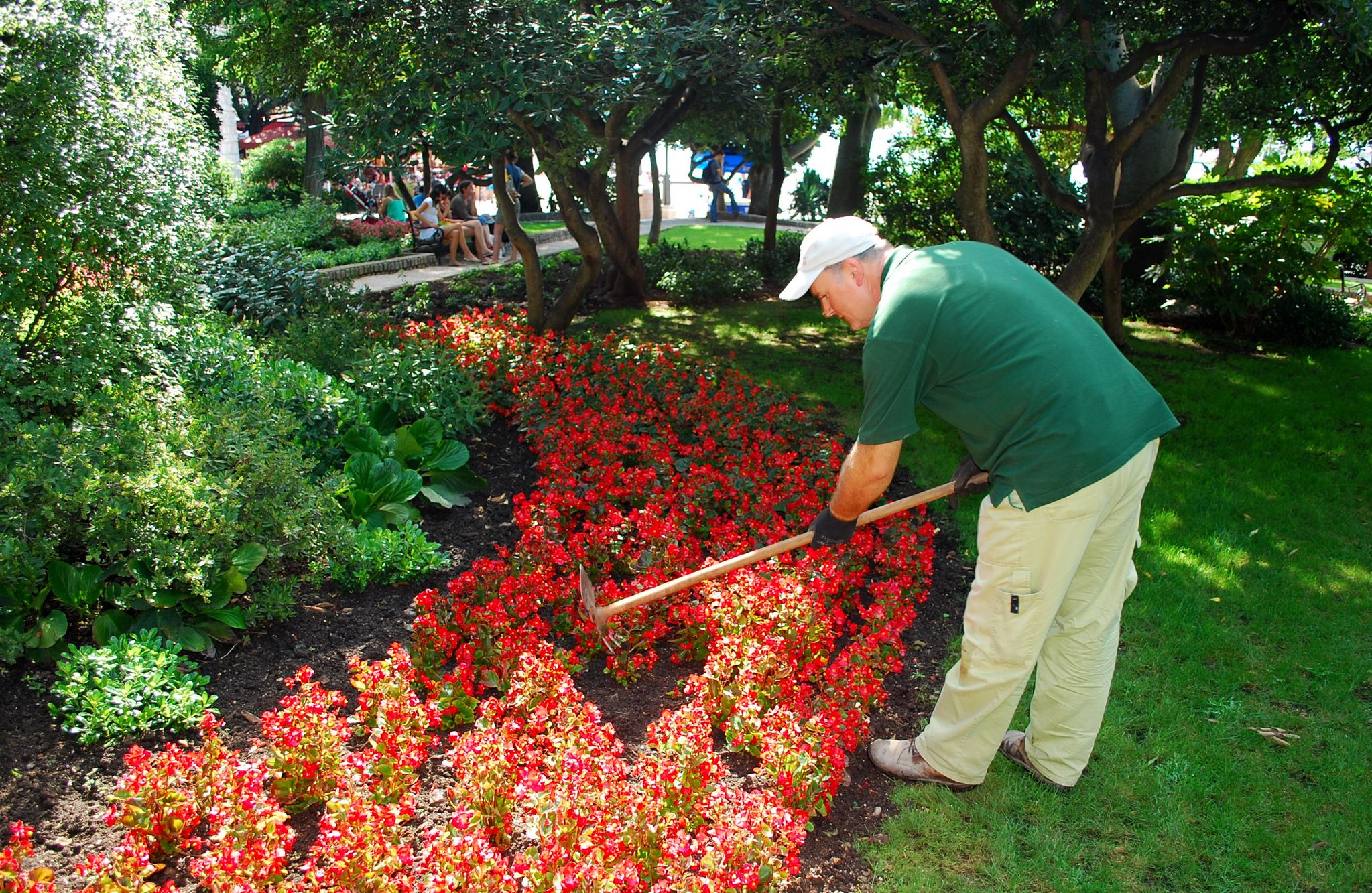 KD Viškovo traži vrtlara, dvije čistačice i tri cestara - Novi list
