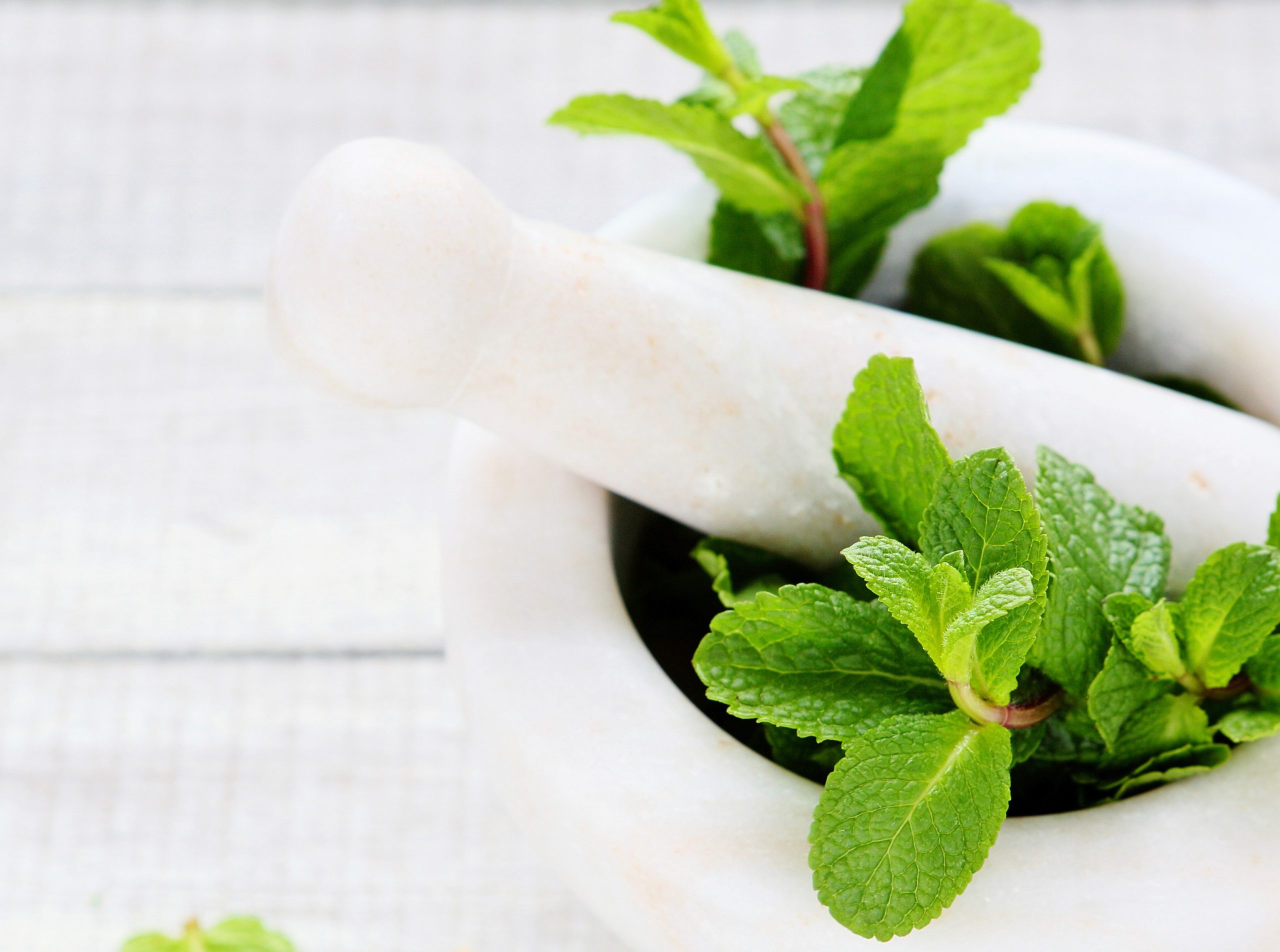 Mentom začinite juhu i carpaccio ili napravite domaći sladoled - Novi list