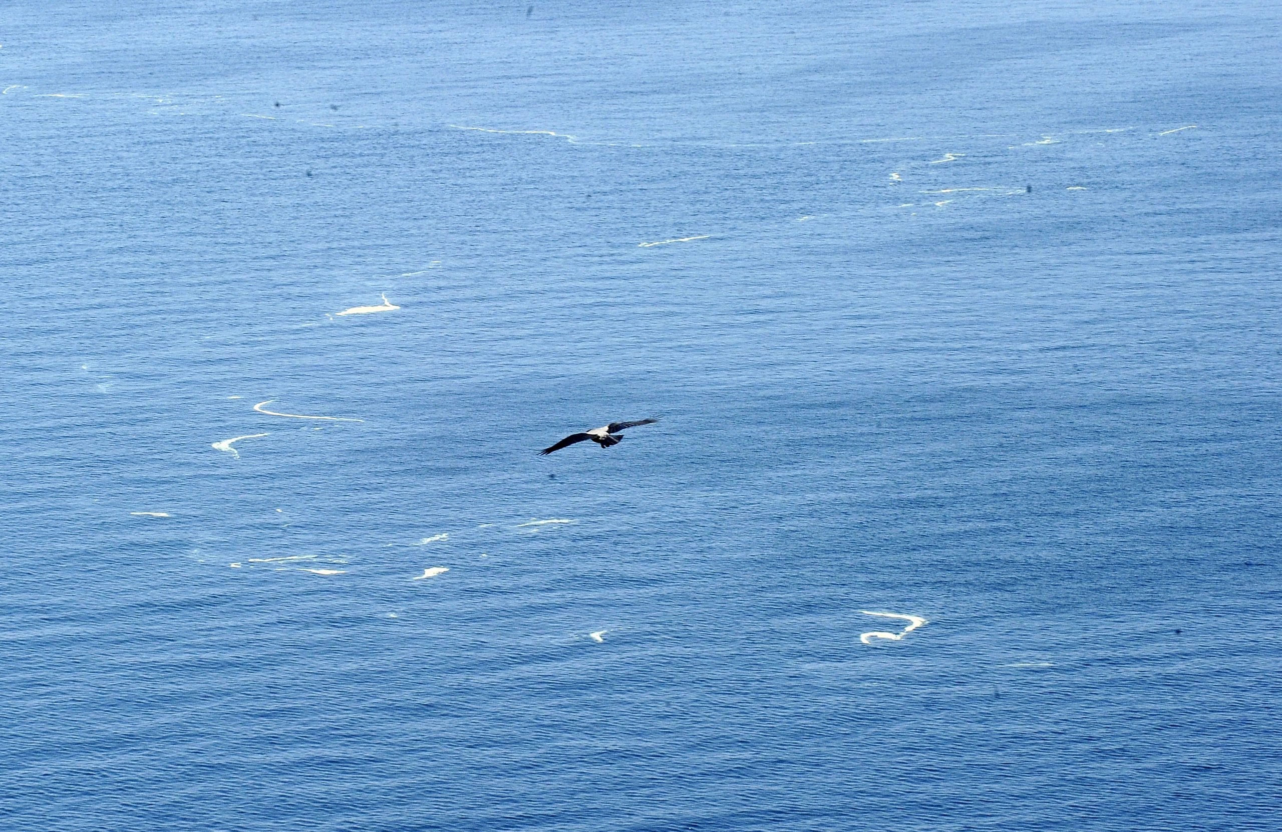 ŽUTE FLEKE Što se to pojavilo u moru na riječkim Pećinama i trebamo li ...