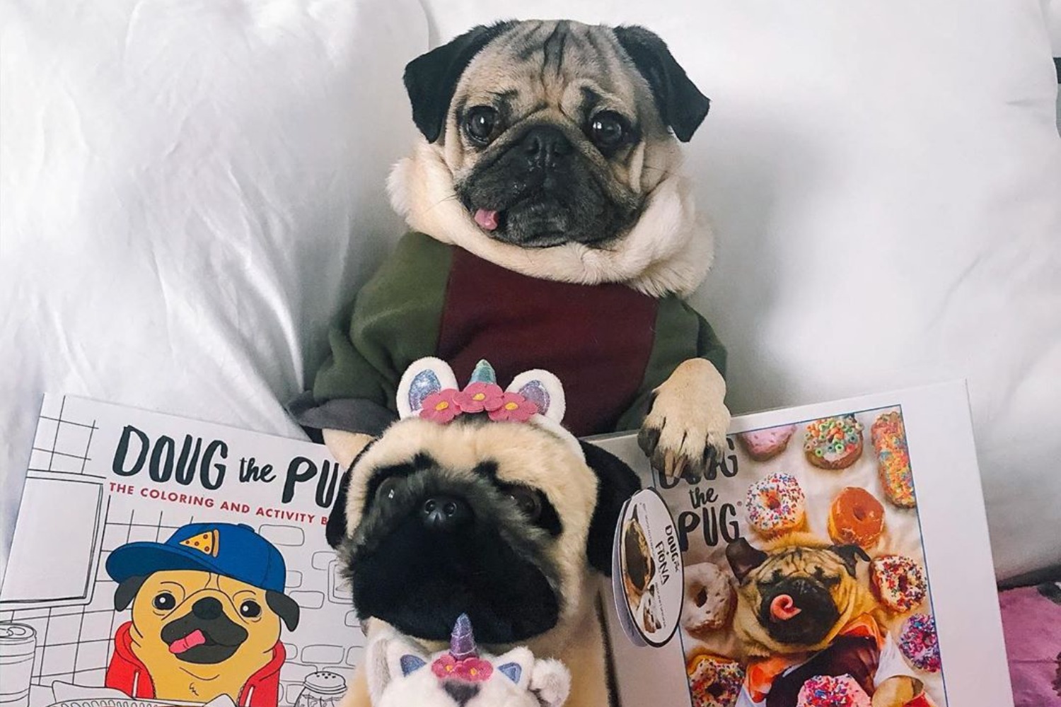 Doug The Pug: Pas koji je osvojio vojsku obožavatelja - čak i Shakiru ...