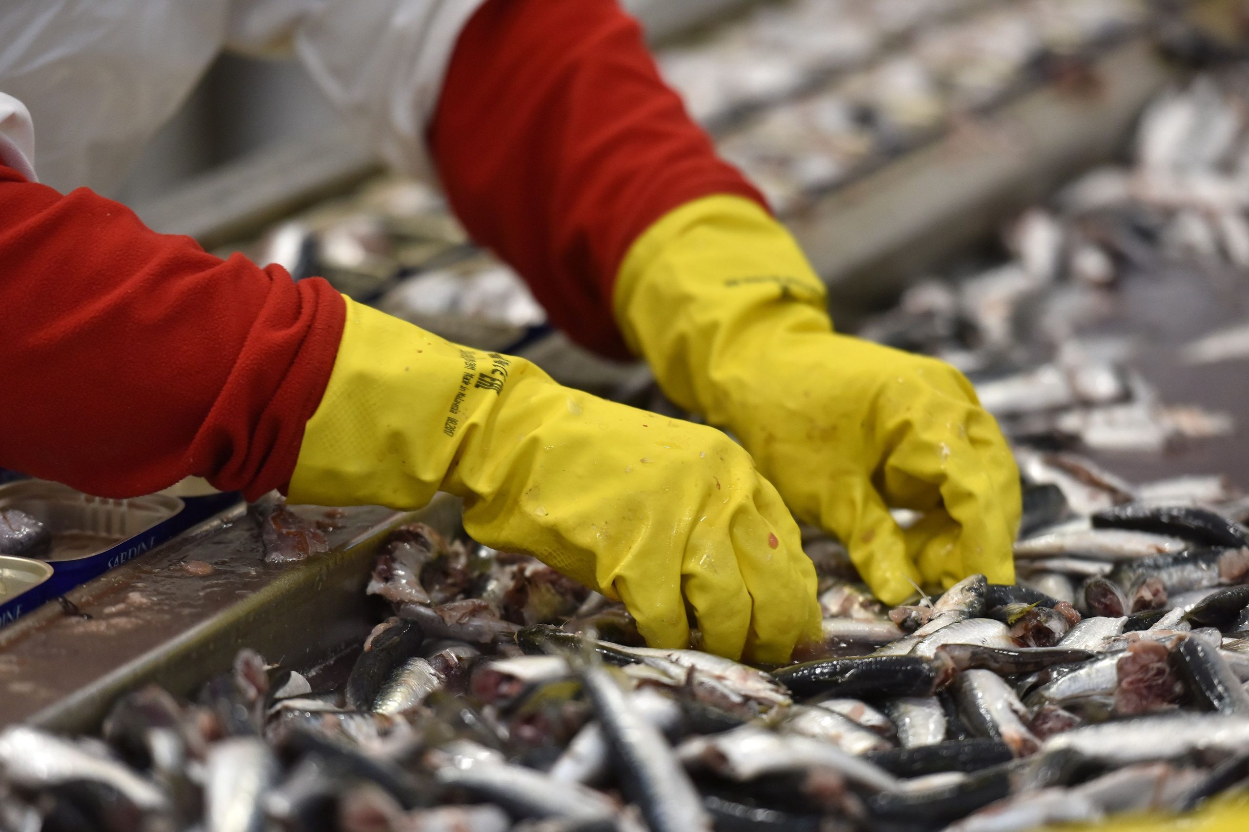 I ribari se odmaraju! - Novi list