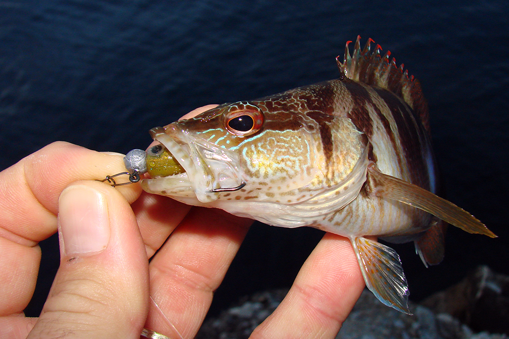 Jigg udice su samo teške udice za laki ribolov - Novi list