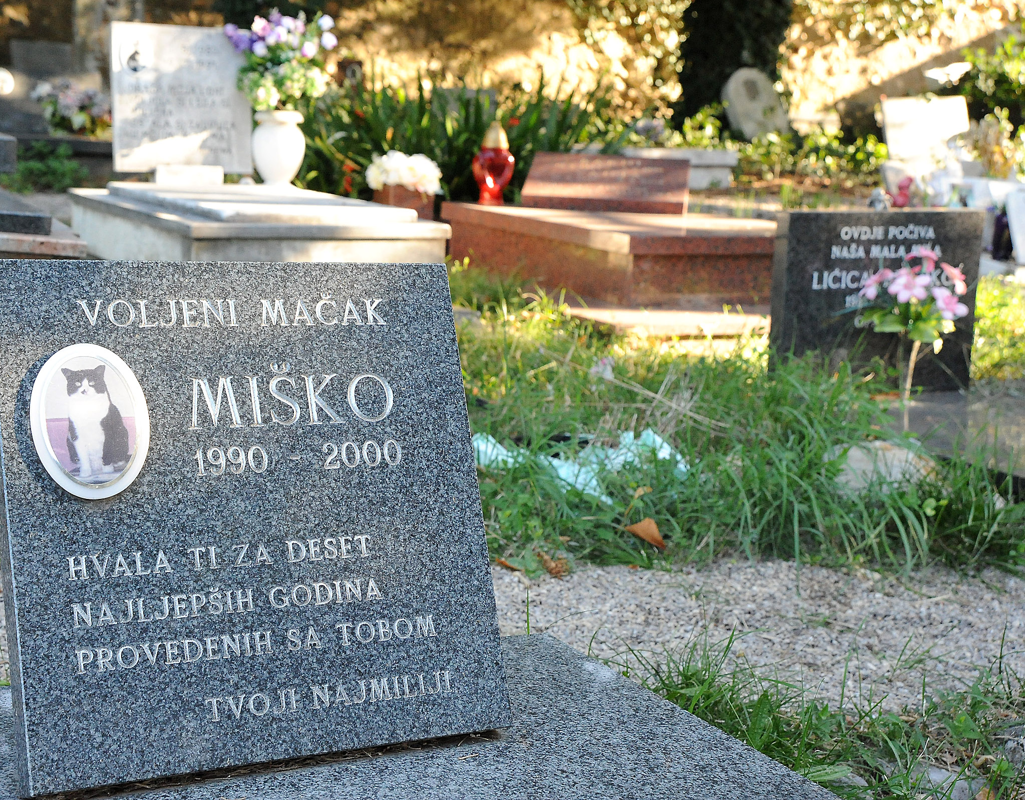 Rijeka u Lukovićima dobiva novo groblje kućnih ljubimaca. Životinje će ...