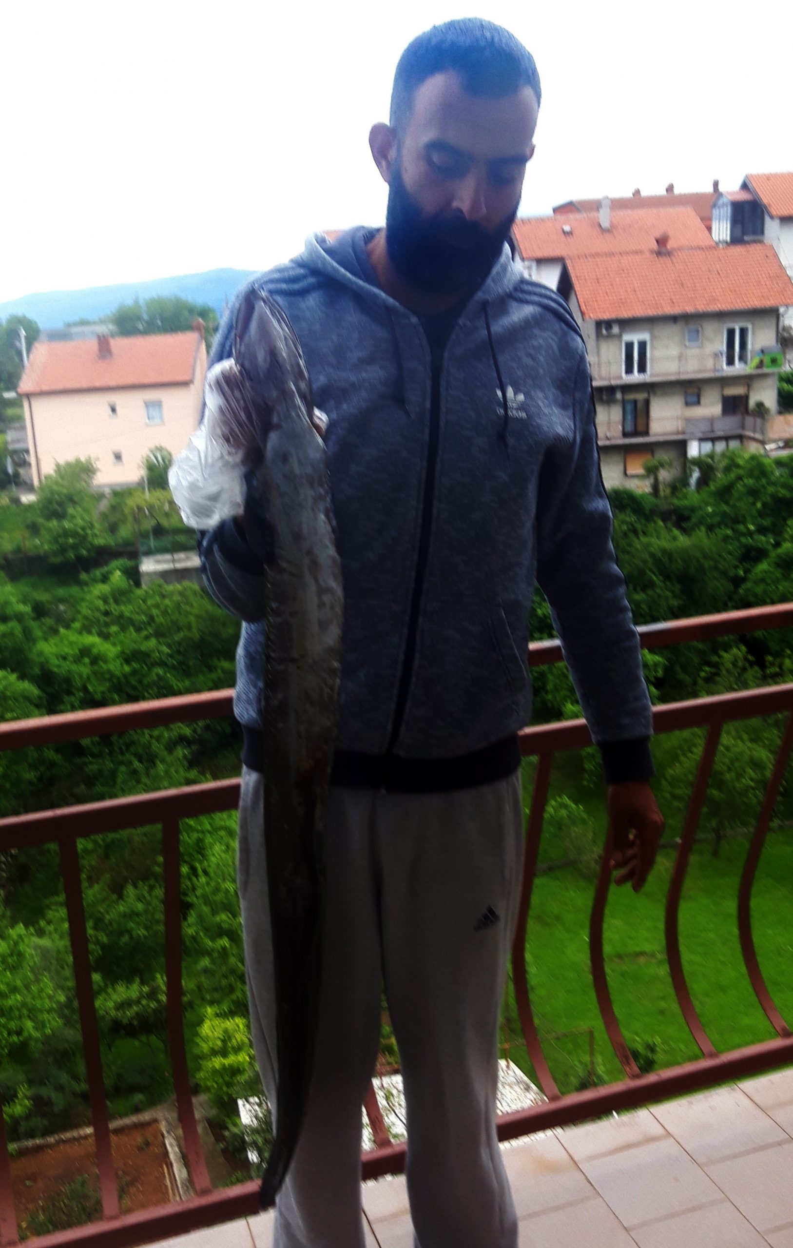 Ovako se lovi riba! Ugor od 5 kilograma kod pristaništa Brestova ...