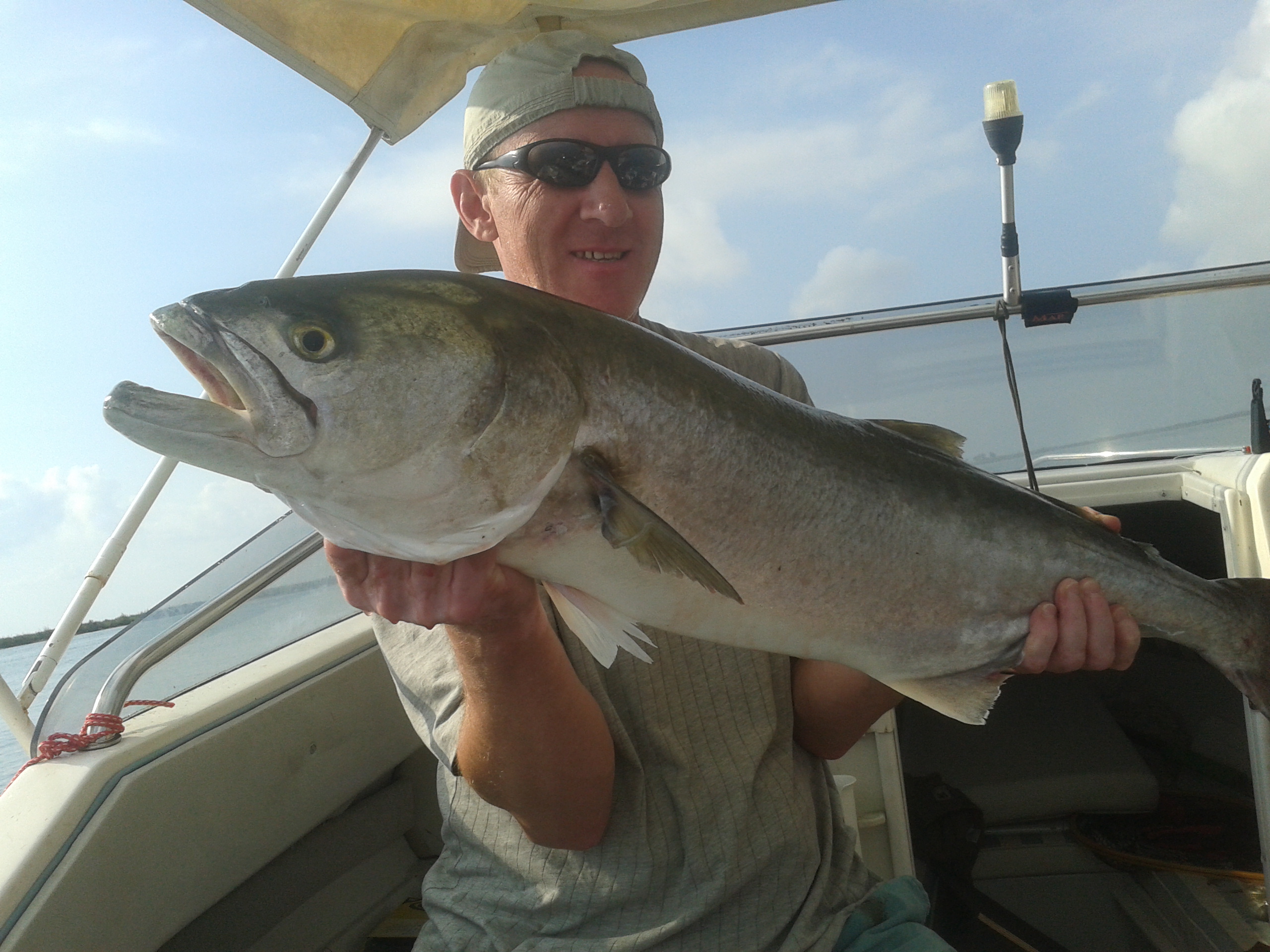 Kako lovite strijelke? Jeste li pokušali povući panulu za ovu ribu? To ...