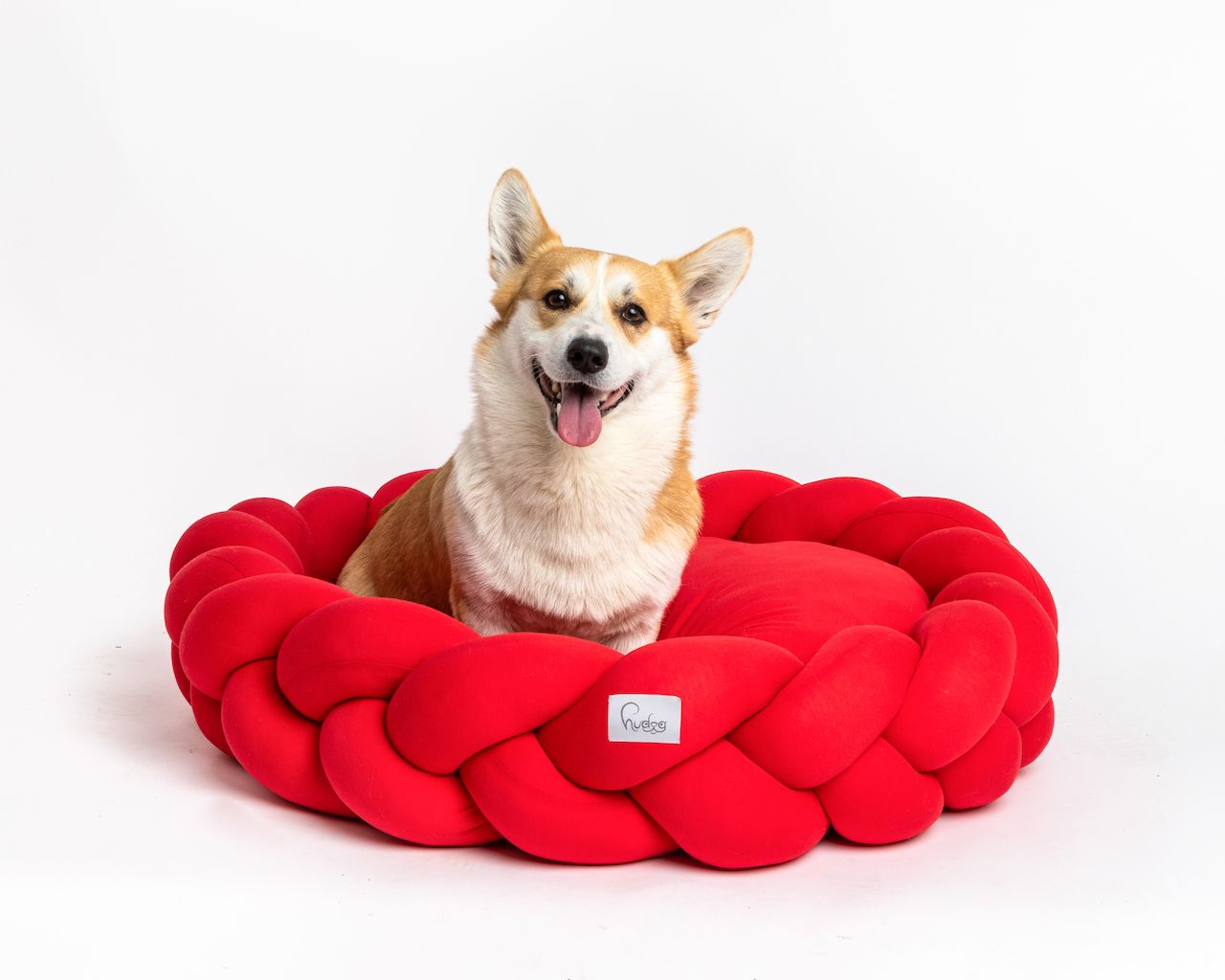 Hudog & Hucat - fantastični krevetići za vaše čupave ljubimce - Novi list