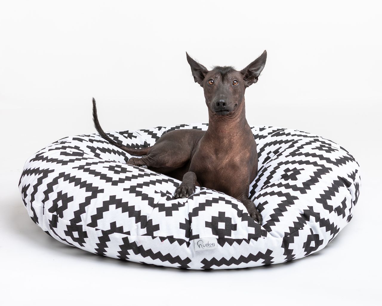 Hudog & Hucat - fantastični krevetići za vaše čupave ljubimce - Novi list