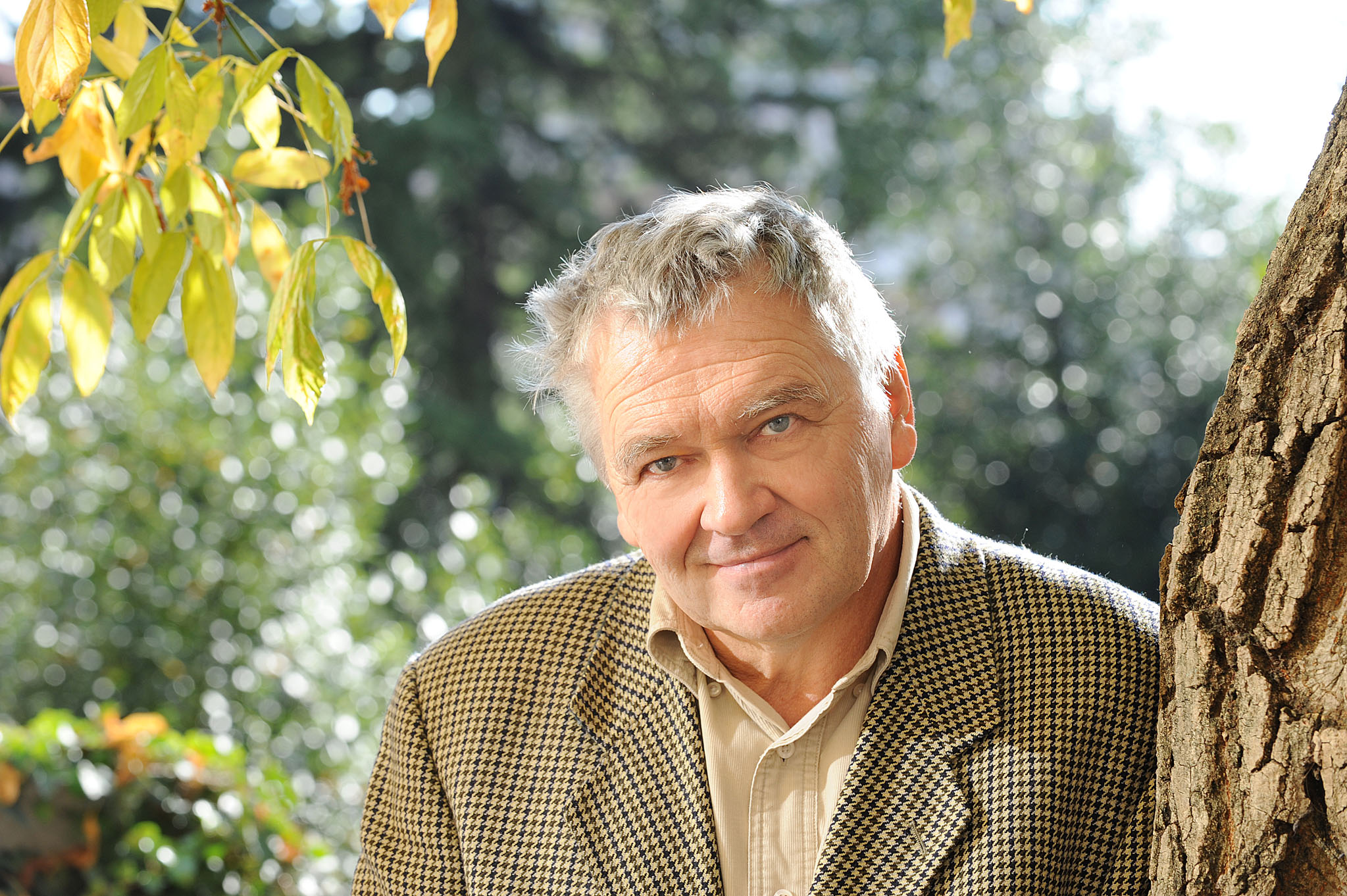 Arhiva Sandra Peternel - Novi list