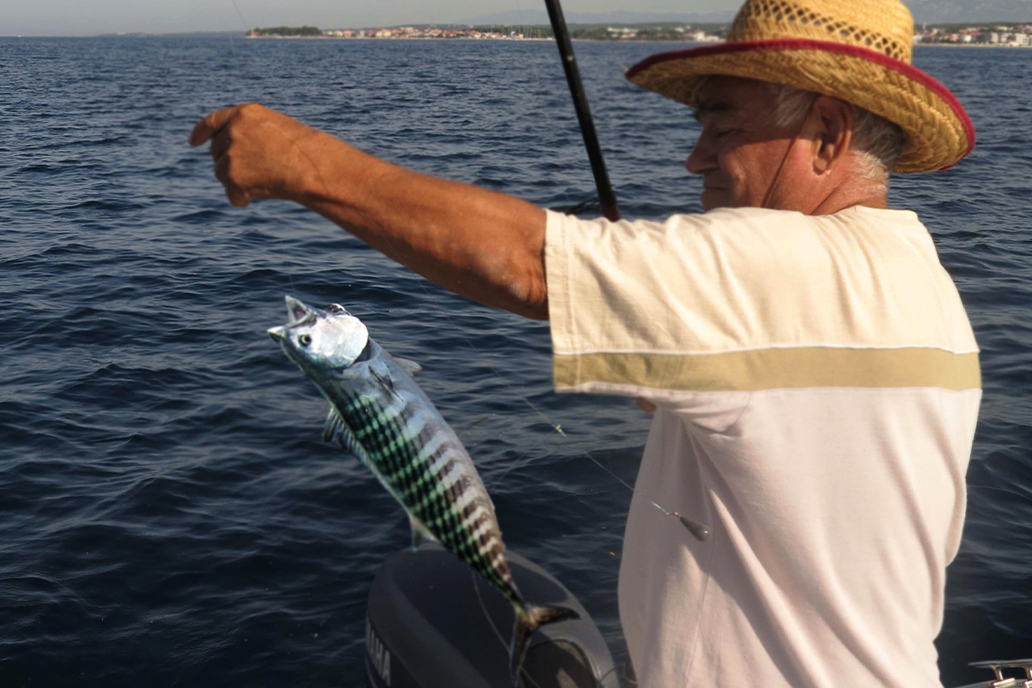 Evo kako da vam svježe ulovljena palamida ostane tečna i iznimno ukusna ...