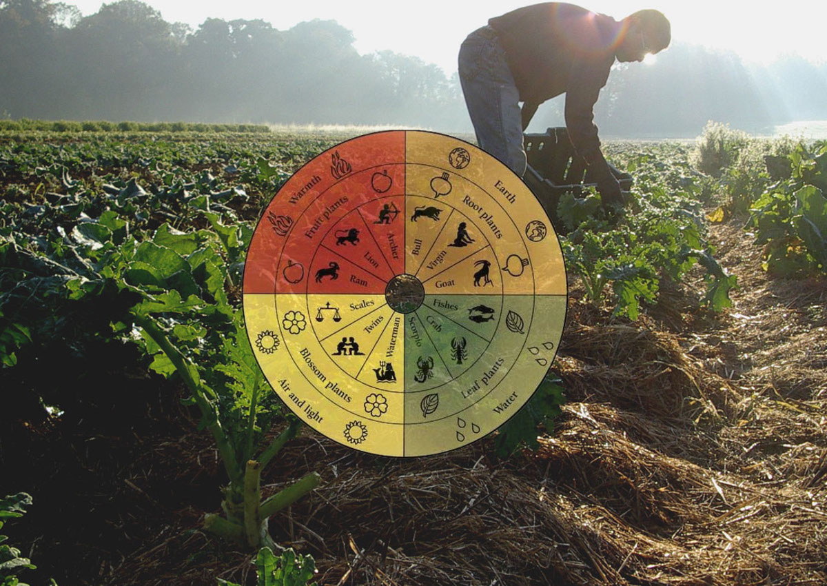 Znate li što je biodinamička poljoprivreda? Vrhunac ekološke ...