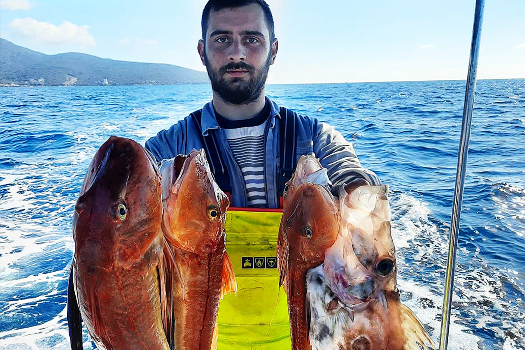 Arhiva san pjer - Novi list