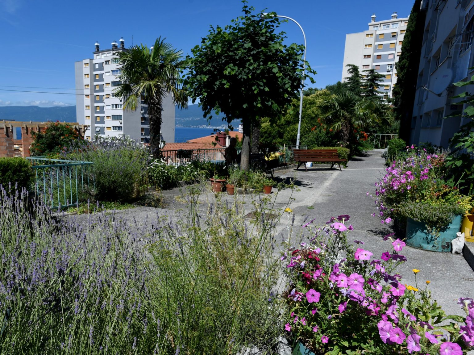 Ovo su najljepši vrtovi u PGŽ-u: Odmah kreće novi izbor, prijavite se ...