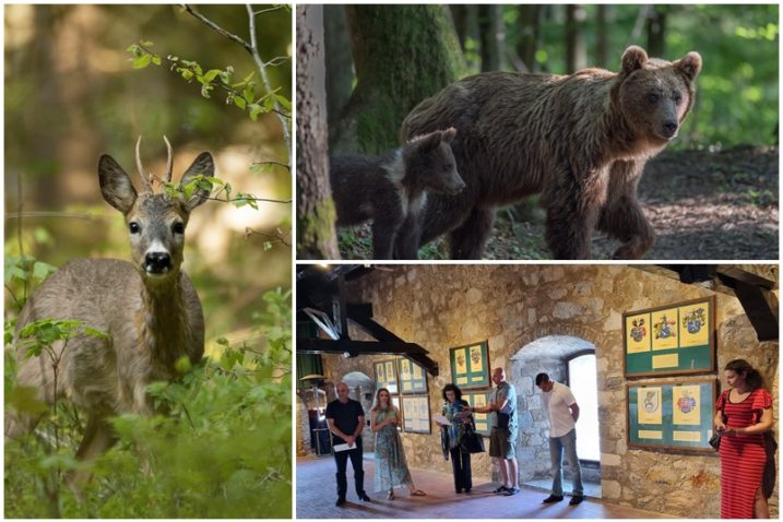 Od medvjeda i risa do divokoza i zmija. Postavljena izložba na temu ...