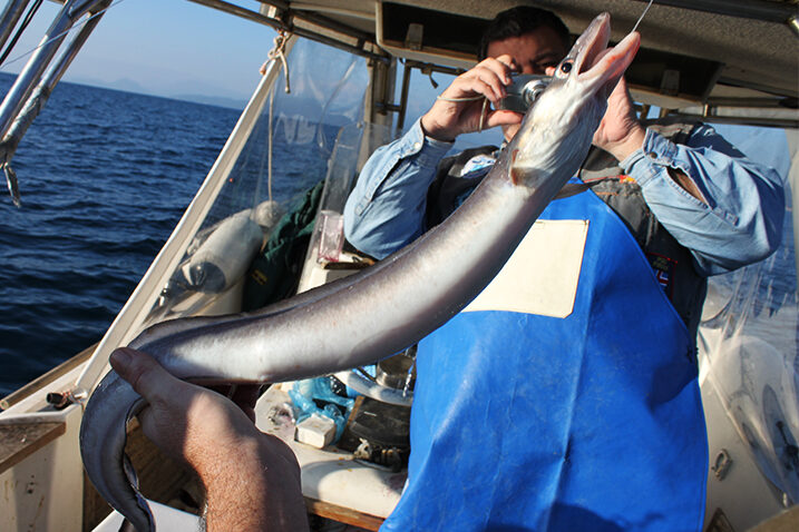 Lovite li ciljano ugore? Donosimo nekoliko važnih savjeta - Novi list