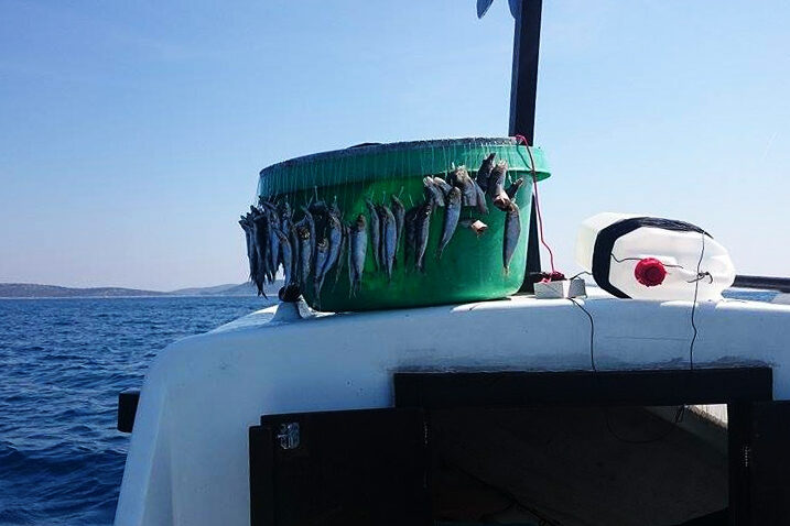 Kakve parangale koristite, najlonske li one od konopa? I parangalski ...