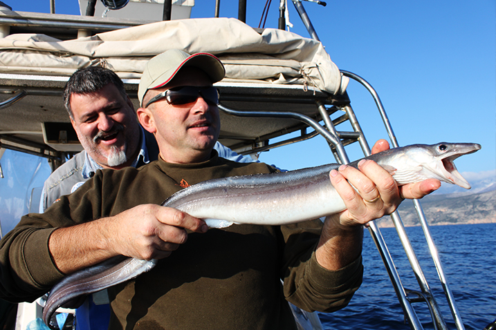 Jeste li znali da ugor može narasti do 3 metra u dužinu? A razlikujete ...