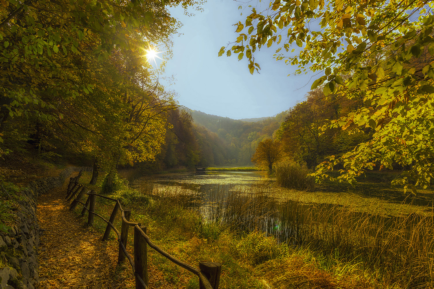 Zelena šetnja povijesnim stazama - Novi list