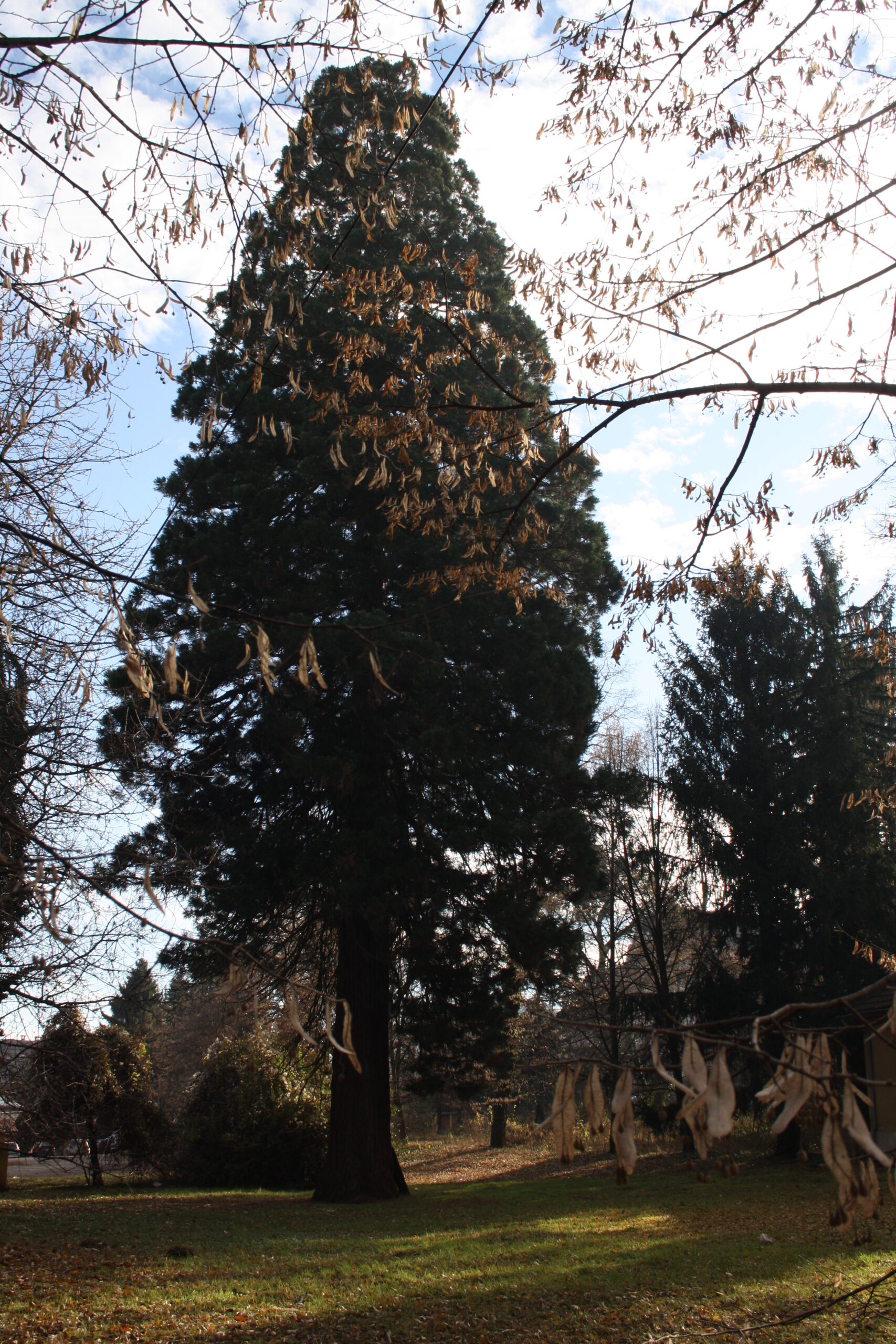 Zelena šetnja povijesnim stazama - Novi list