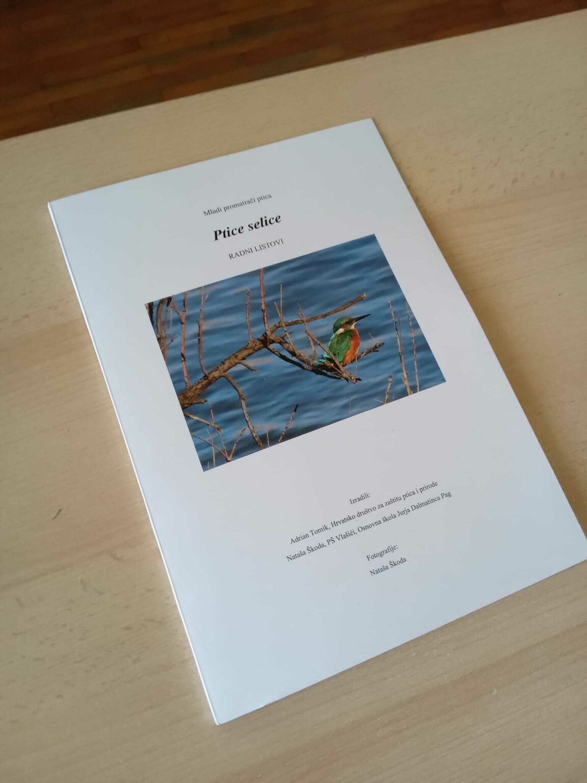 FOTO U Vlašićima na Pagu djecu podučili prstenovanju ptica - Novi list