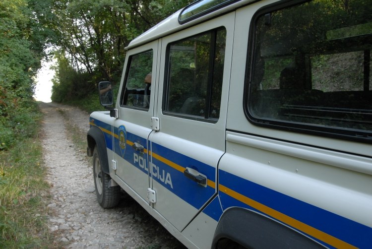 Posjekao i ukrao 205 stabala graba, hrasta i bagrema vlasništvo ...