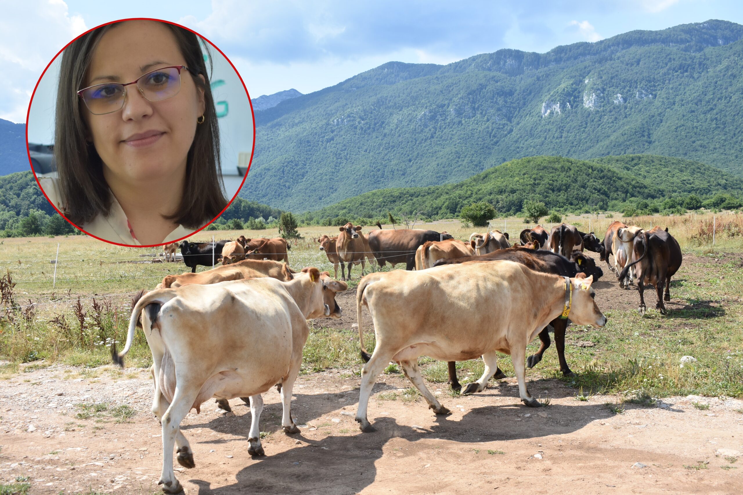 Novi natječaj LAG-a Lika pokazao da neki mladi ipak još nisu odustali ...