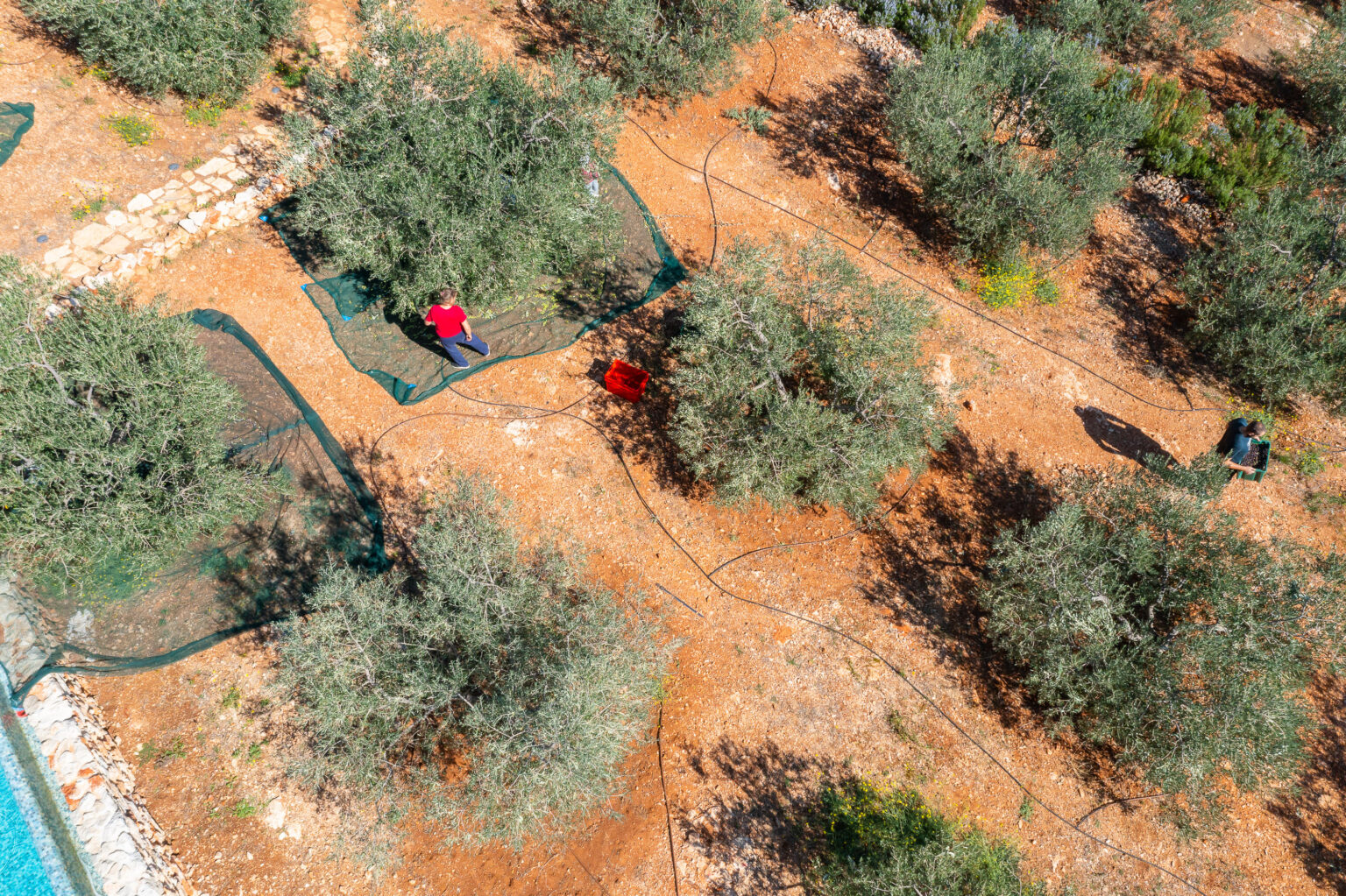 Dugi otok ima jedan od najneobičnijih hotela na svijetu: 'Sve je ...