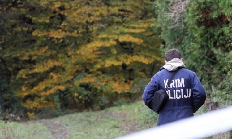 U privatnoj šumi porušili stotinjak stabala bagrema, graba, trešnje i ...