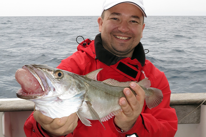 Jeste li znali da oslić spada u riblje rekordere po reproduktivnosti ...