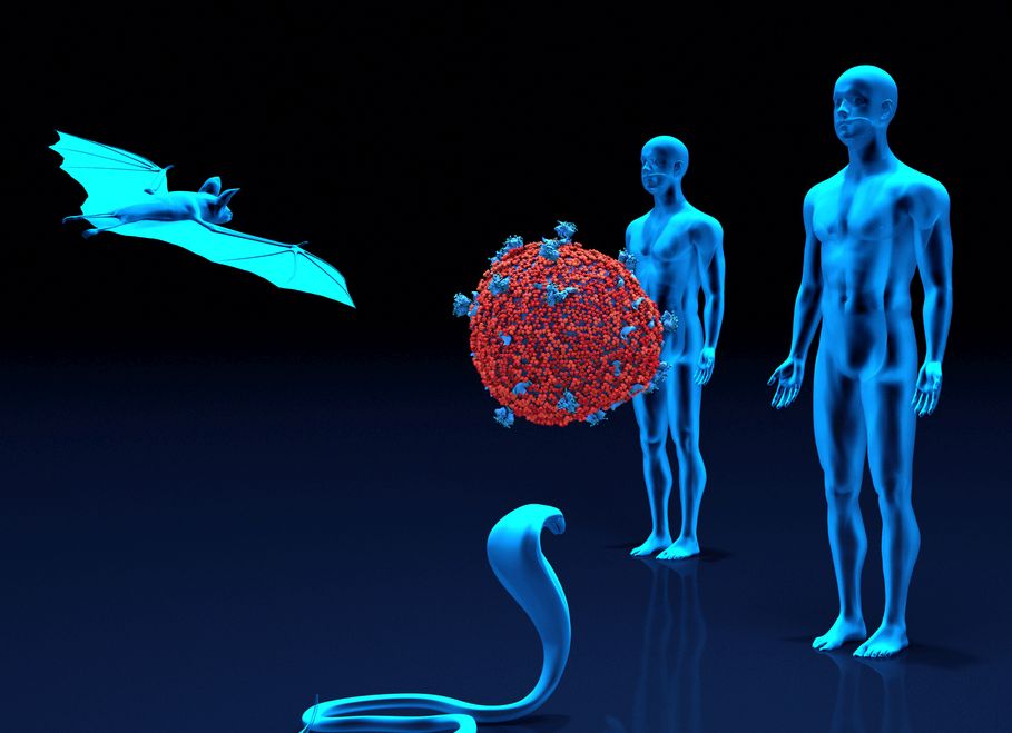 Zašto su bolesti koje se prenose sa životinje na čovjeka sve češće? Ovih pet stvari dosad znamo ...