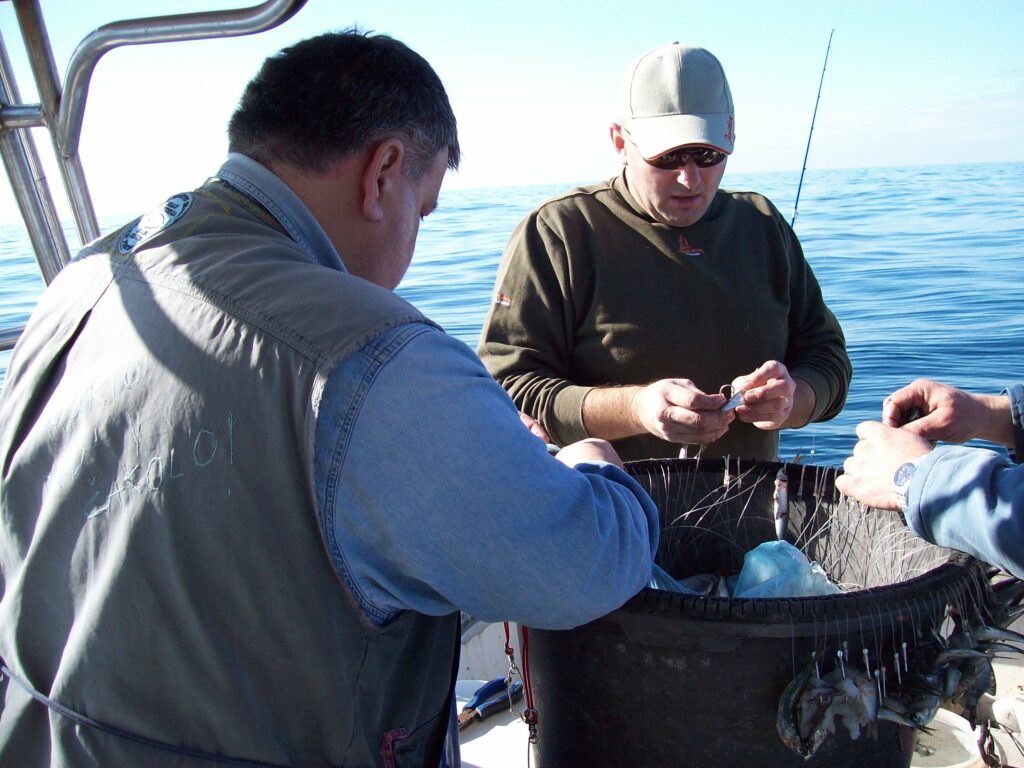 Jeste li znali da da se parangalom može loviti i sa kraja? Evo kako ga ...
