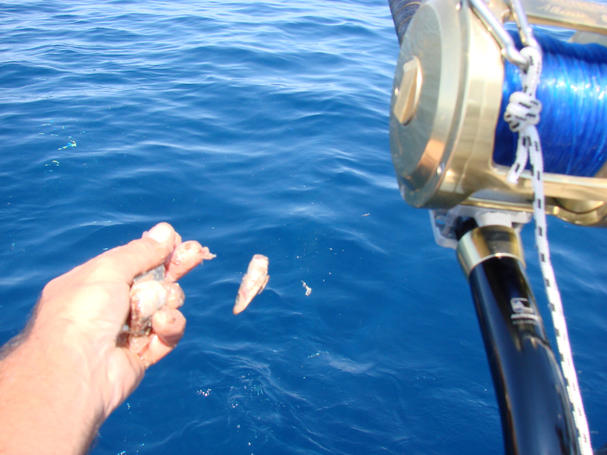 Kako koristite brum u ribolovu velike ribe? Evo što morate napraviti ...