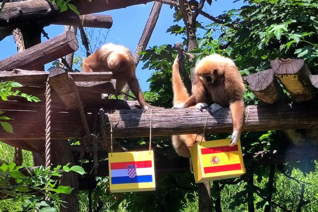 Giboni Kent i Fiona "gatali" ishod sraza Hrvatske i Španjolske. Evo tko ...