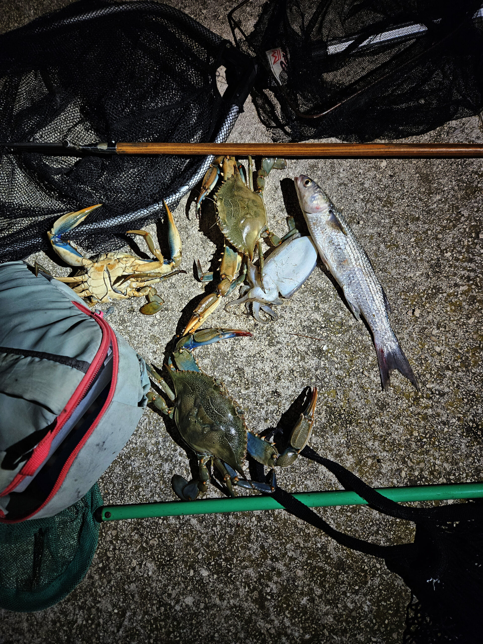 Ljubav prema ribarstvu mali Izzy je naslijedio od svog - pranona - Novi ...