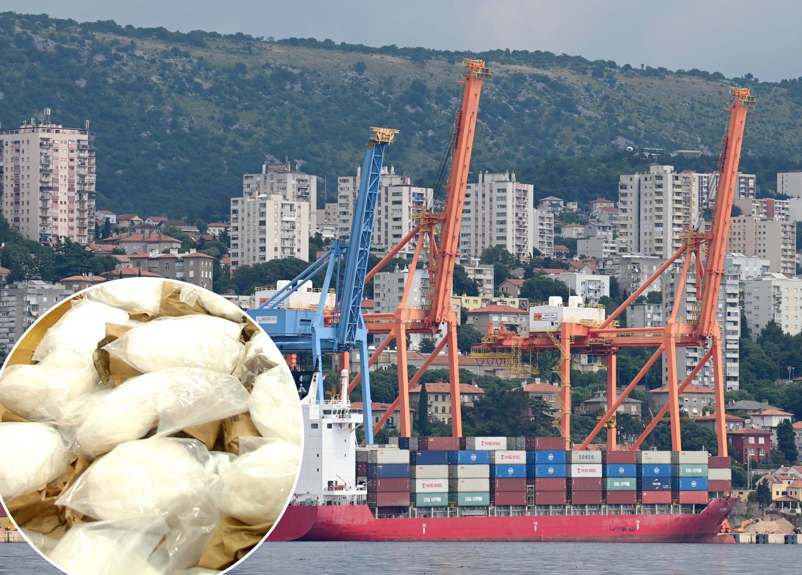 Organizirali golemu operaciju šverca kokaina preko riječke luke ...