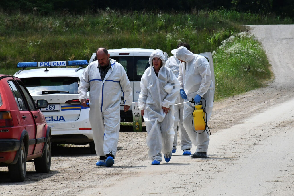 Potvrđena pojava afričke svinjske kuge u divljih svinja u Osječko ...