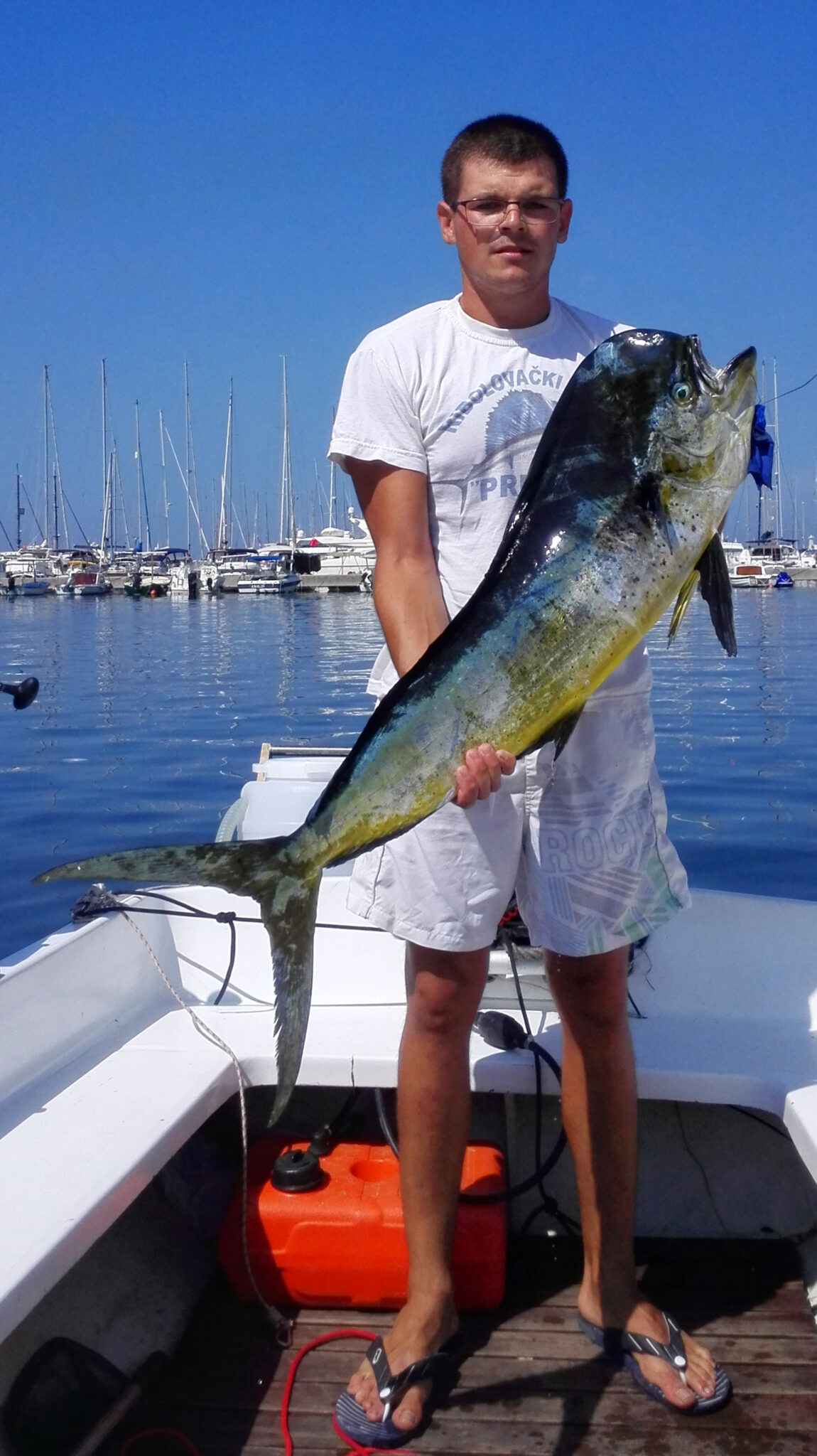 Lampuga se smatra jednom od najbržih migratorskih pučinskih riba. Evo ...