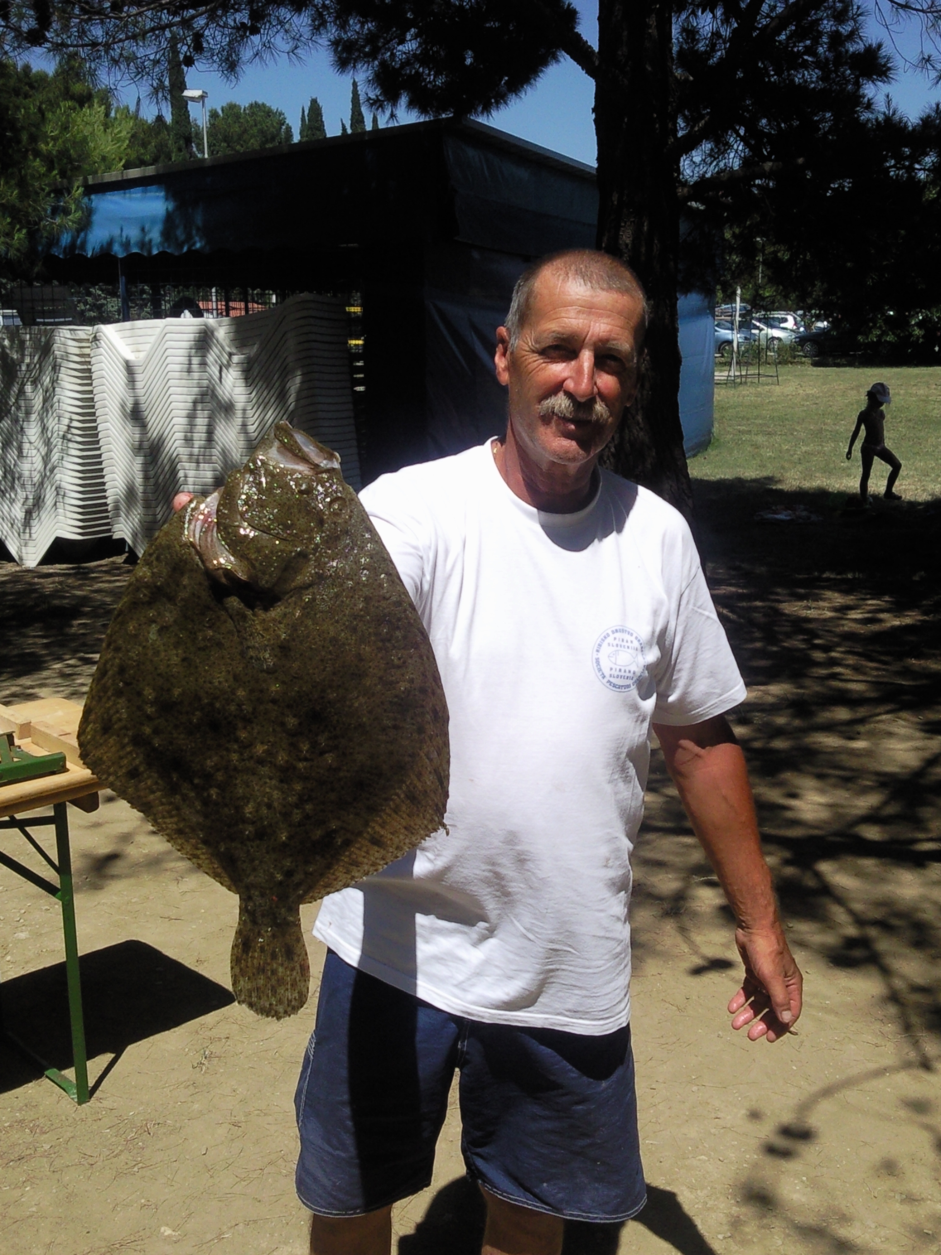 Jeste li znali da se u našem moru love rumbači i do 15 kilograma težine ...