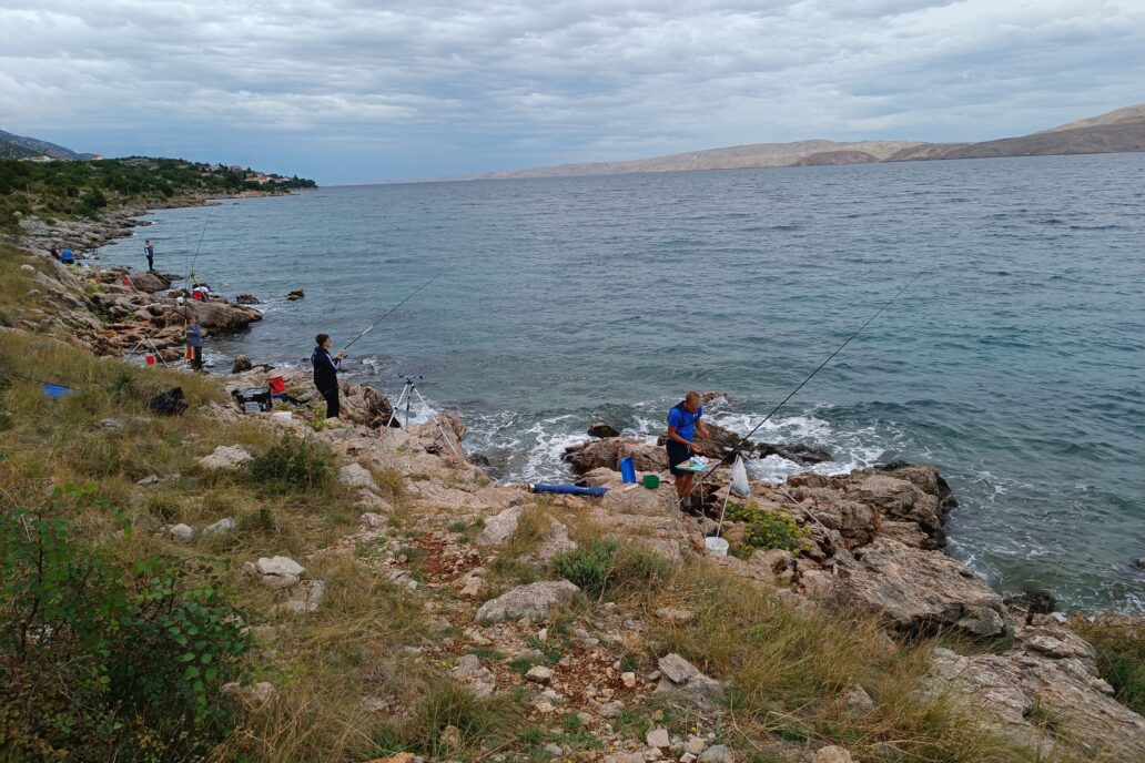 Karlobag je bio domaćin ribolovnog natjecanja, sav ulov je vraćen u ...