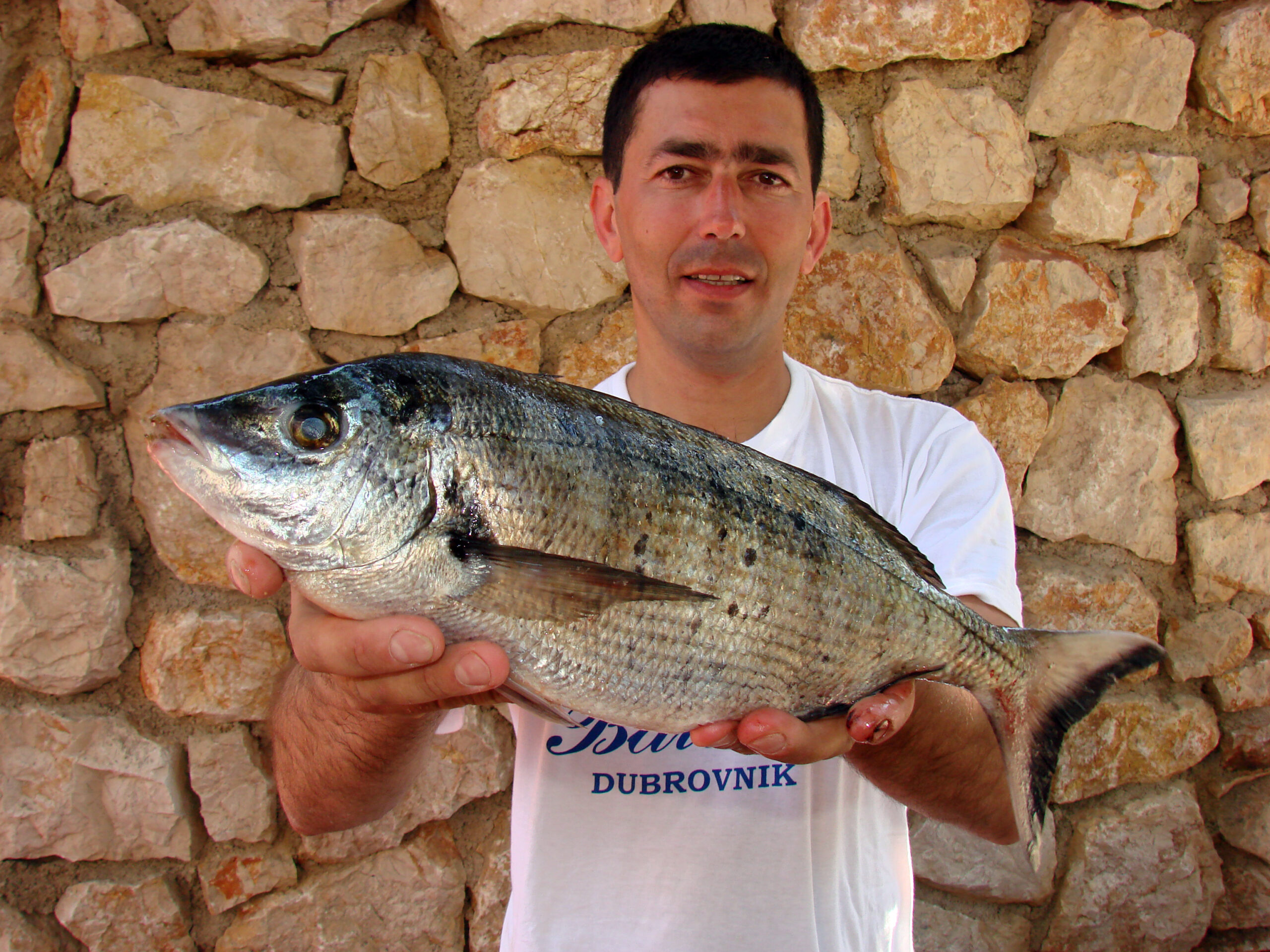 Pic je izuzetno plaha vrsta ribe. Ovi detalji mogu vam pomoći u ...