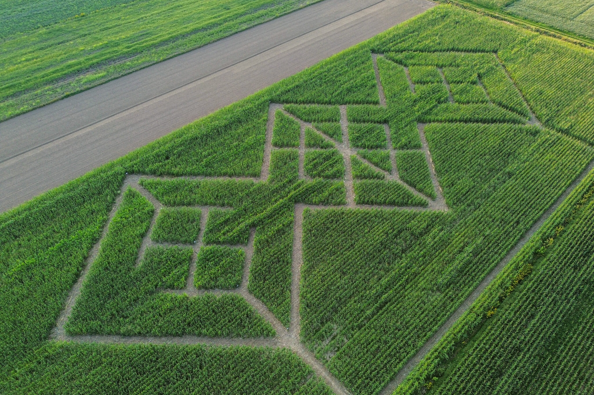 FOTO / Pogledajte kako izgleda golemi kukuruzni labirint izrađen kod Ivanić-Grada - Glas Istre