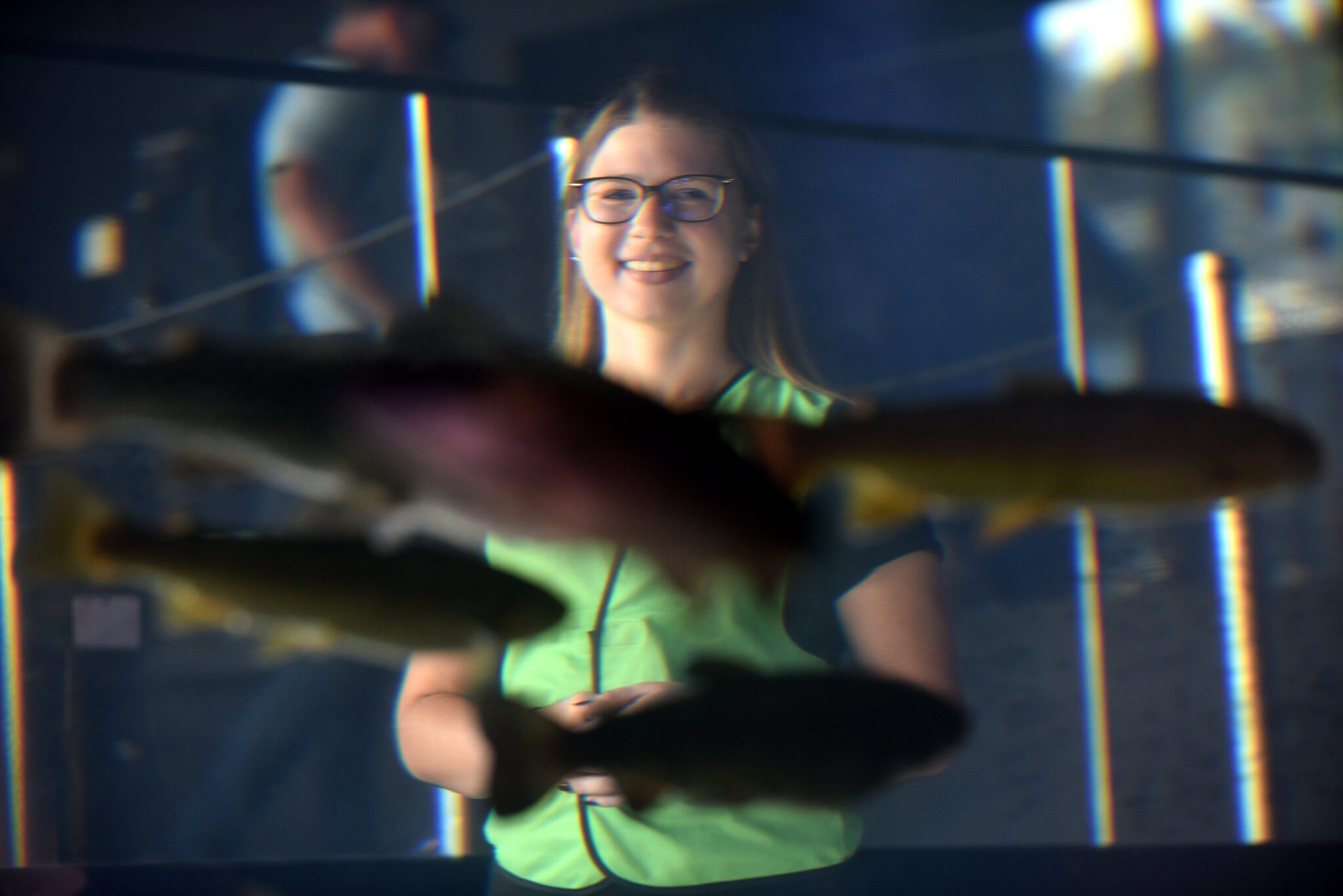 FOTO Ono kad ti golema jesetra pliva tik iznad glave. U Karlovcu smo ...