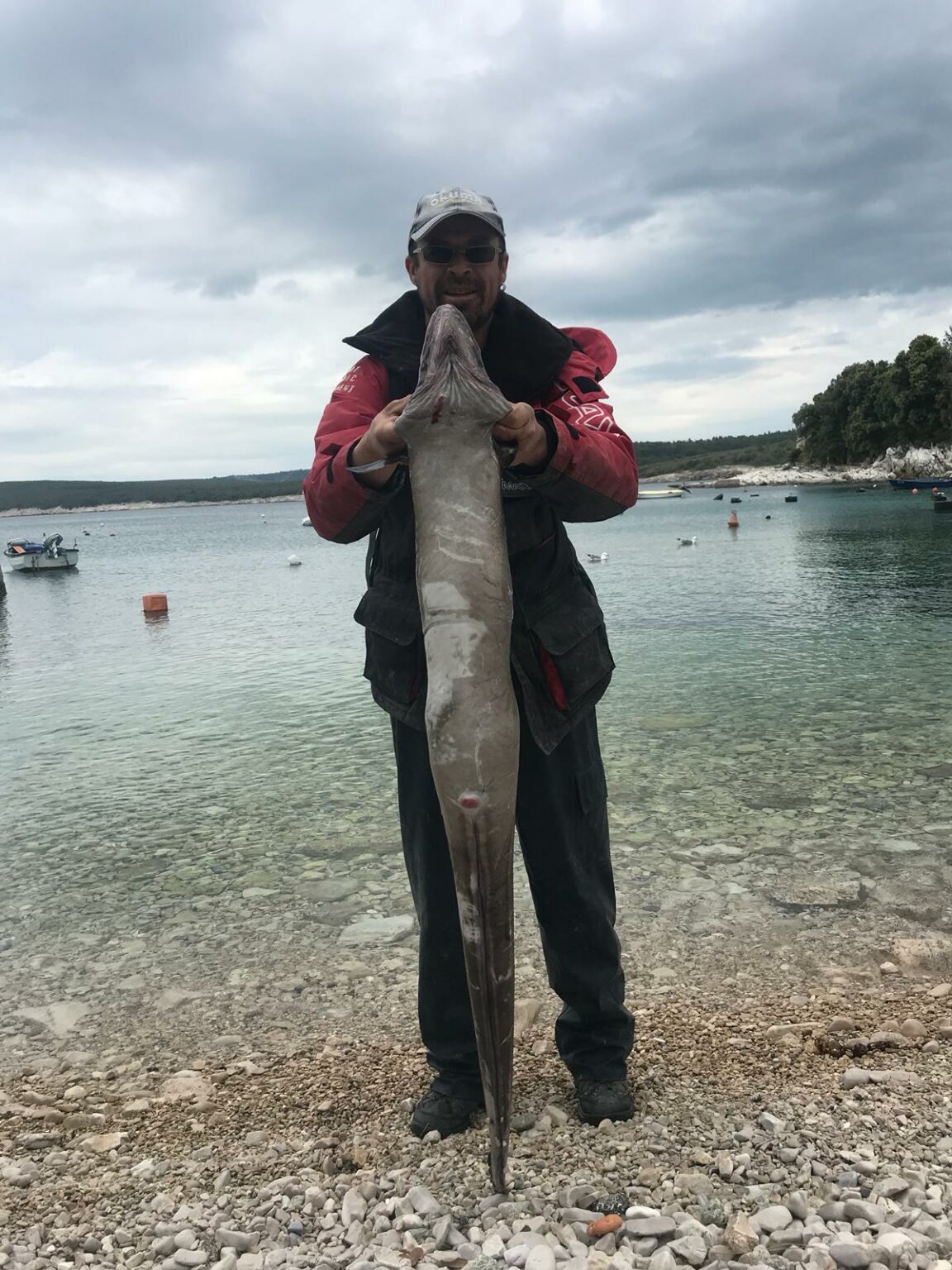 Znate li kod ugora razlikovati mužjaka i ženku? Imamo još zanimljivosti ...
