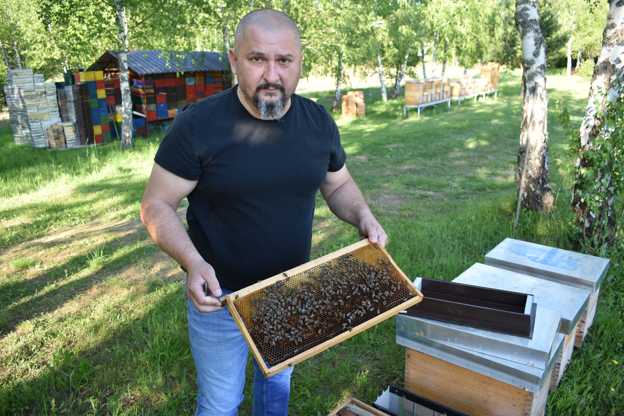 Toplo vrijeme u Lici pogoduje pčelama, ali to ne znači da će voćarska ...